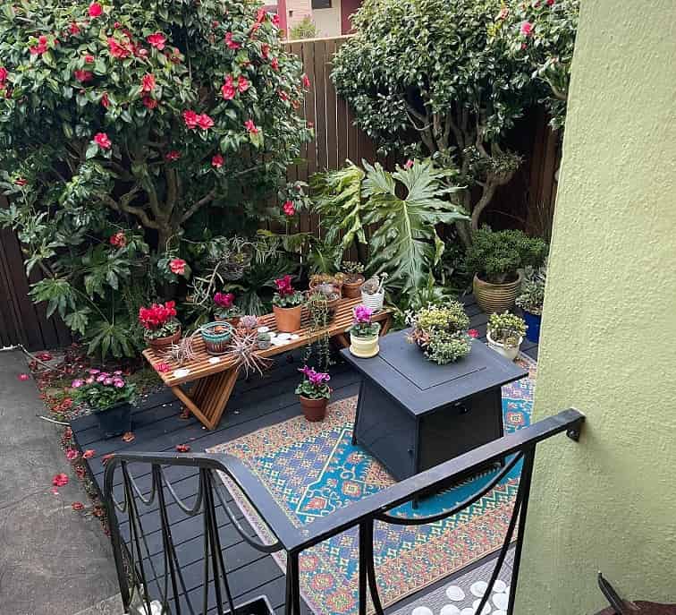 Optical Illusion: You are a genius if you can spot two doves in the ...