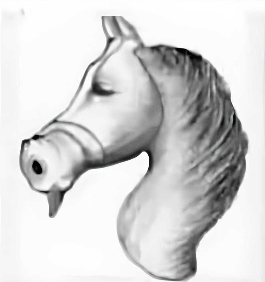 Seek and Find Puzzle: Find the Hidden Horse in 5 Seconds!