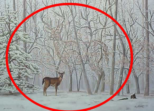 Optical Illusion Visual Challenge: Can you find the second deer in the ...