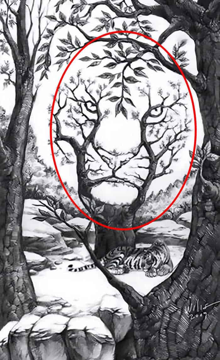 Seek and Find Puzzle: Find the Hidden Tiger in 6 Seconds!