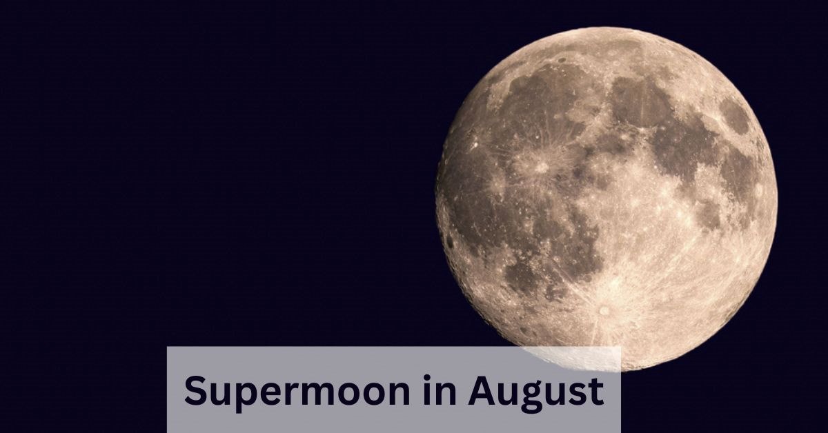 Supermoon 2023 In August Check Date Time And Where To Watch Full