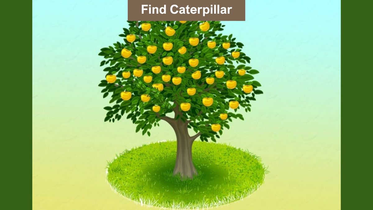 Optical Illusion Challenge for Geniuses: Find the caterpillar in the ... Optical Illusion Challenge for Geniuses: Find the caterpillar in the ...