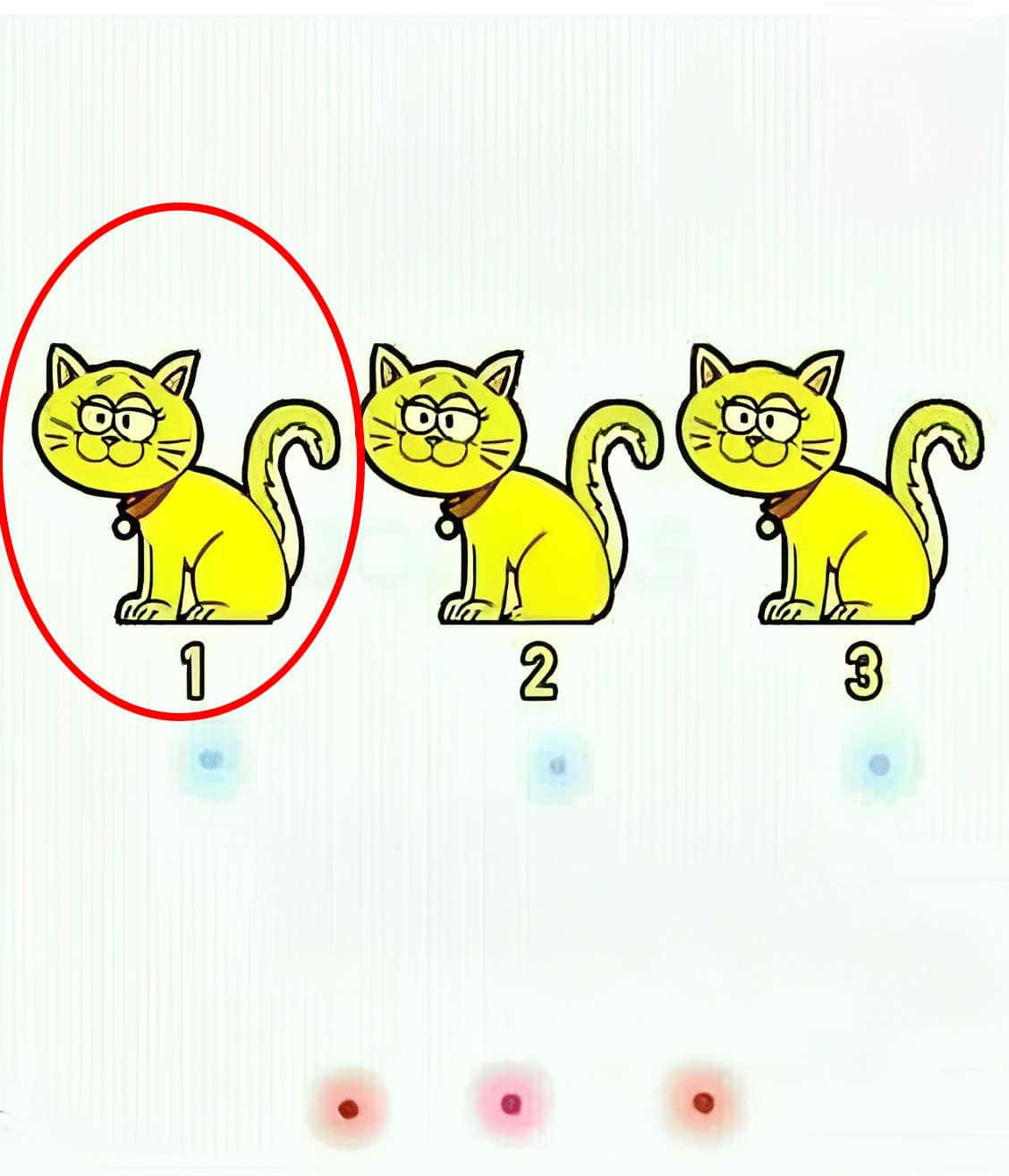 You have eagle eyes if you can spot the different cat in the picture in ...