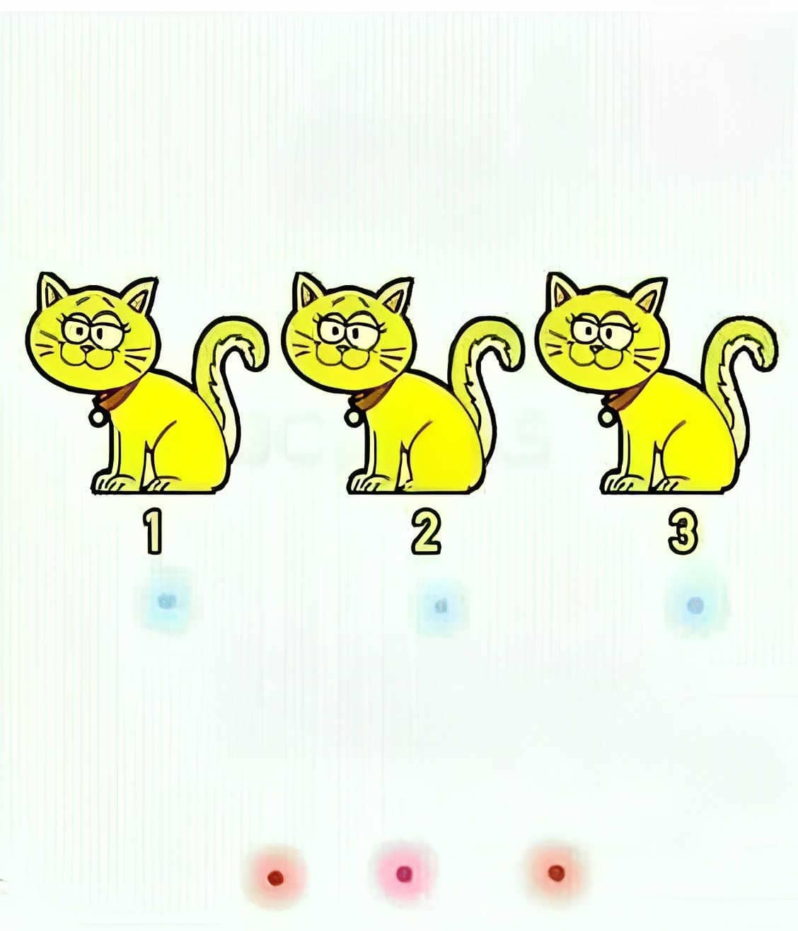 You have eagle eyes if you can spot the different cat in the picture in ...