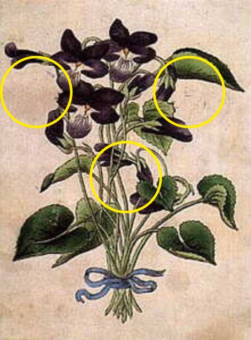 Only someone with great eyesight can spot the faces hidden in the ...