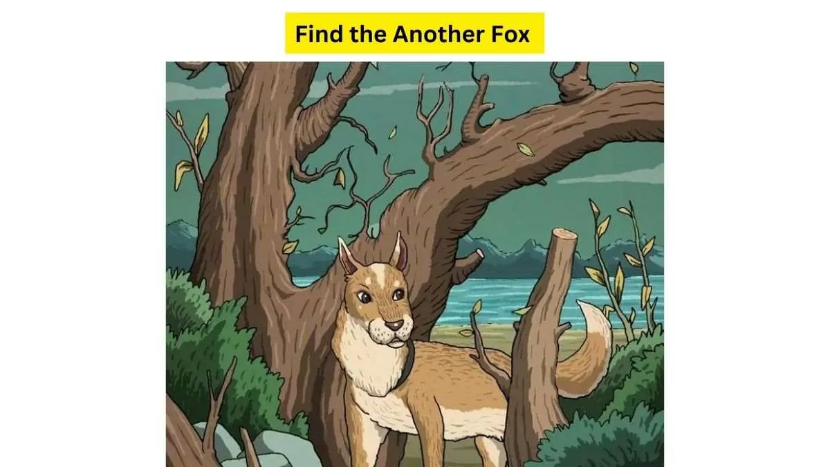 Optical Illusion For IQ Test: Are You Among The Top 5 Genius Who Can ...