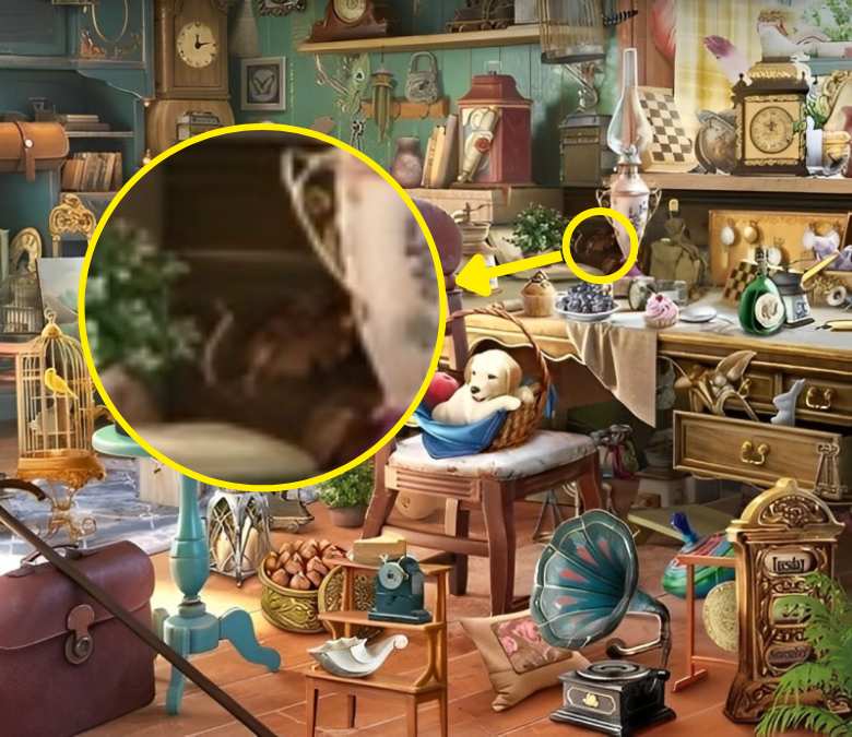 Test your vision and spot the elephant hidden among antiques in 5 seconds.
