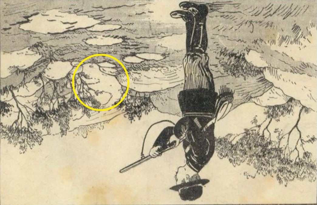 Only the sharpest eyes can find the rabbit hiding from the hunter in ...