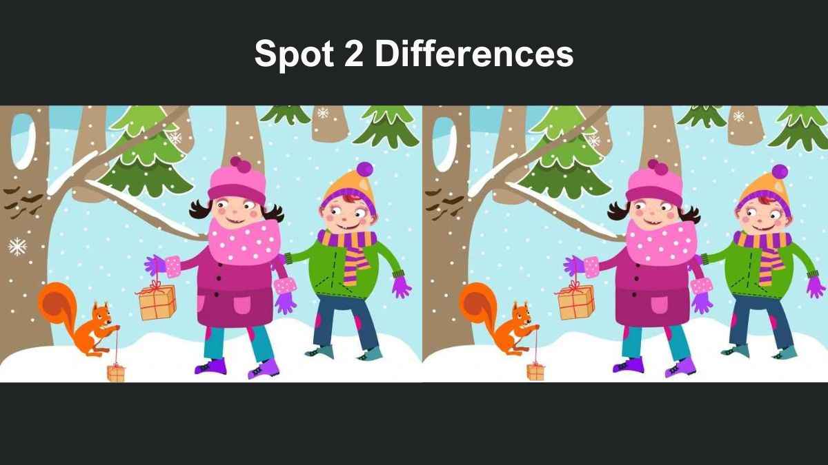 Use Your Sharp Eyes To Spot 2 Differences Between The Festive Pictures