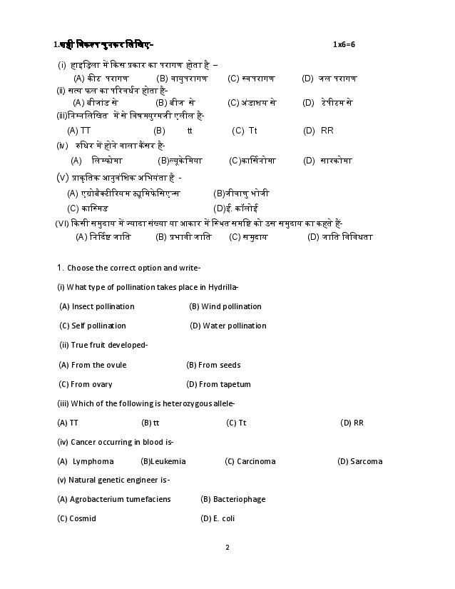 MP Board 12th Biology Model Paper 2024: Download Class 12 Biology ...