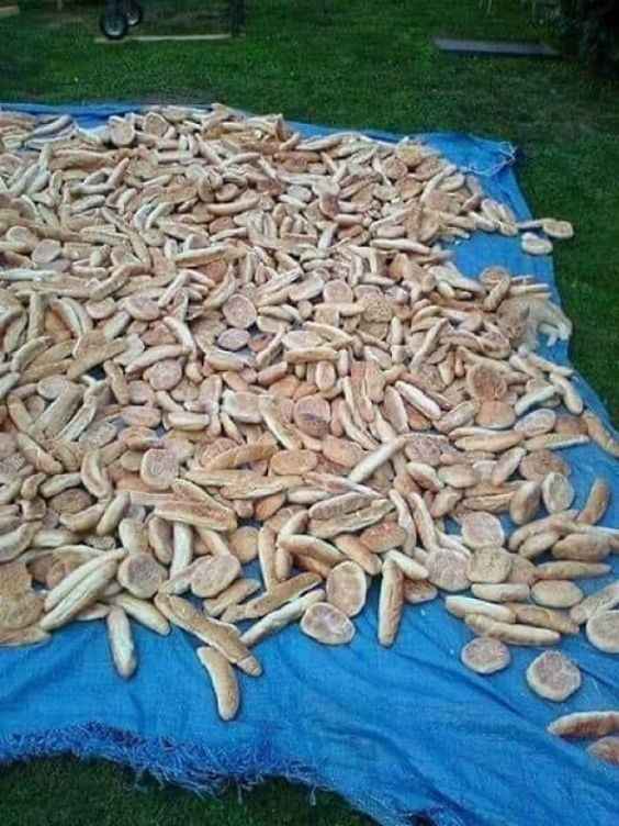 Optical Illusion: Find the hidden cat in 5 seconds!