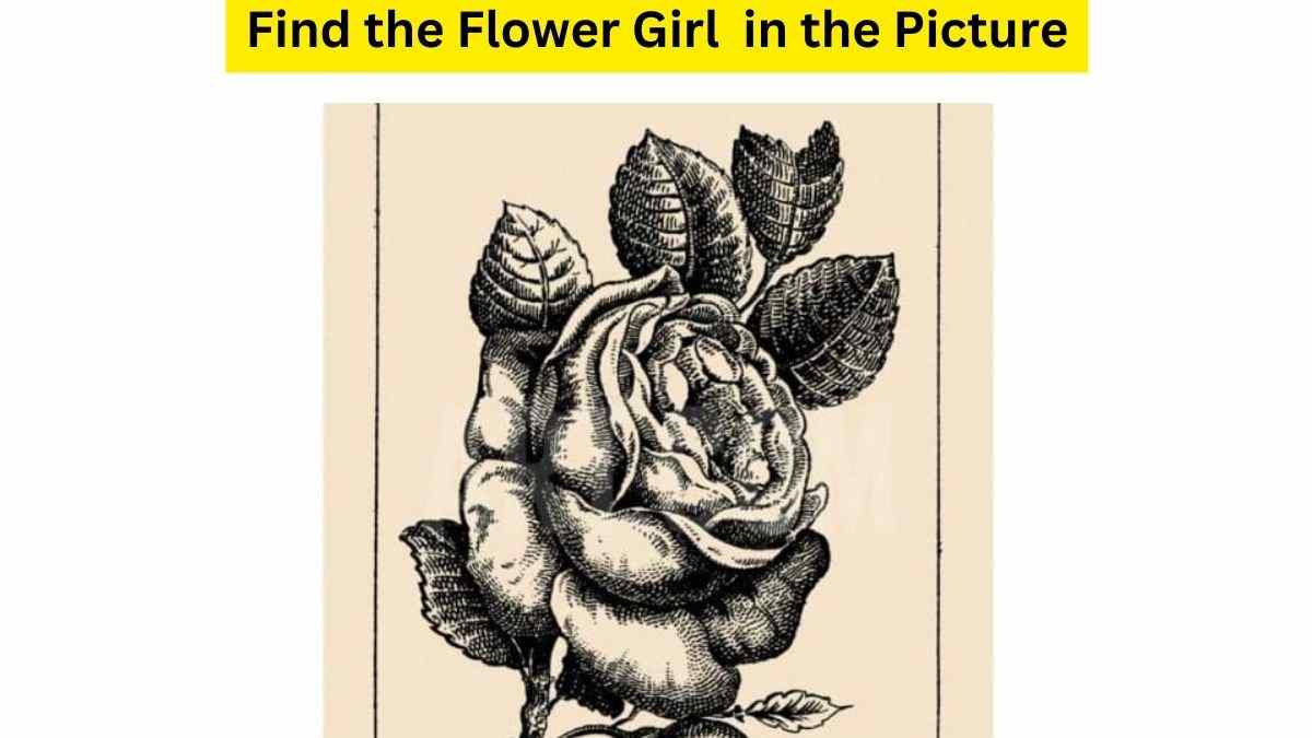 Optical Illusion Vision Test: You Have Lynx-Eye If You Can Find The ...