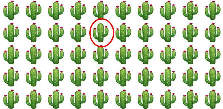 Only the sharpest eyes can spot the different cactus in 5 seconds!