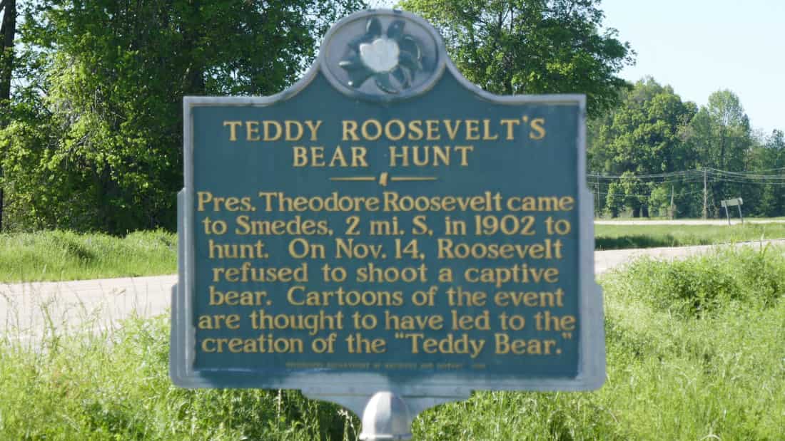 Teddy Bear Was Invented In Honor Of President Theodore Roosevelt: Check ...