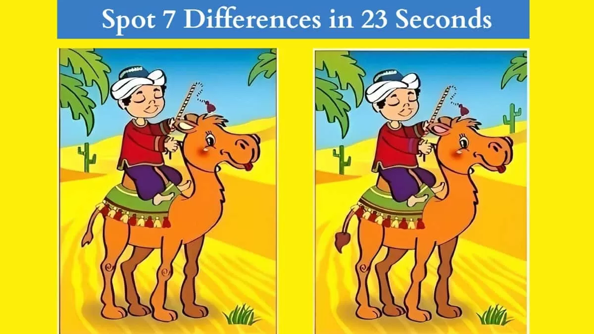 Spot The Difference Can You Spot 7 Differences Between The Two Images