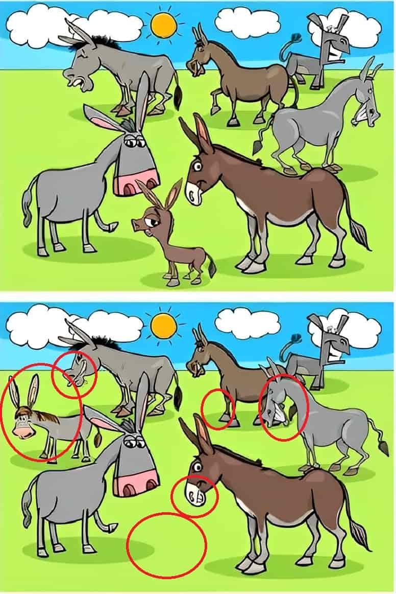 Spot The Difference: Can You spot 6 differences between the two images ...
