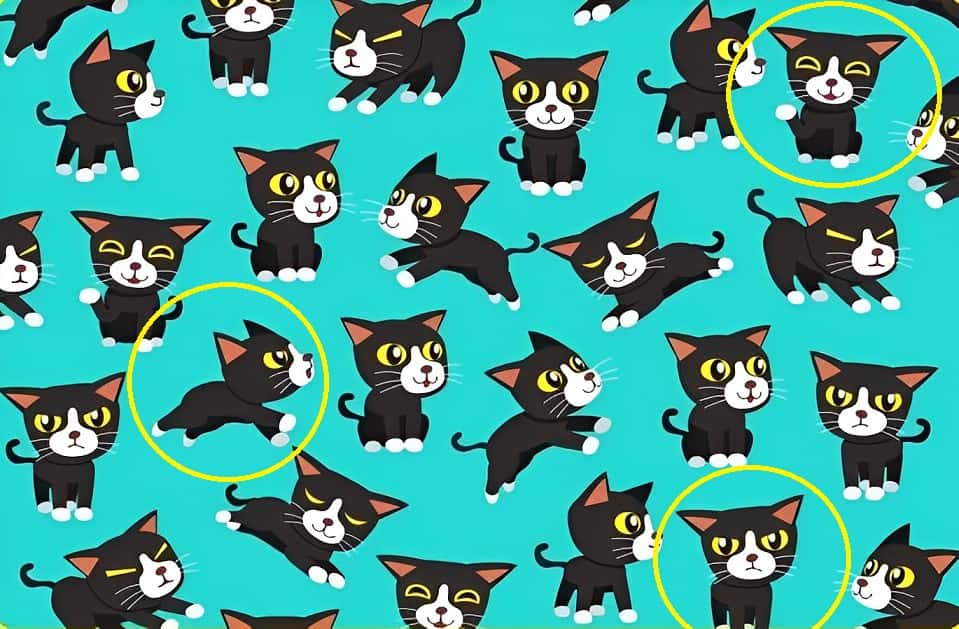 Seek and Find Puzzle: Can you find three cats without tails in the ...