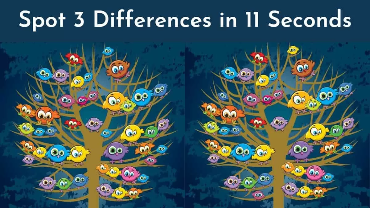 Spot The Difference Can You Spot 3 Differences Between The Two Images