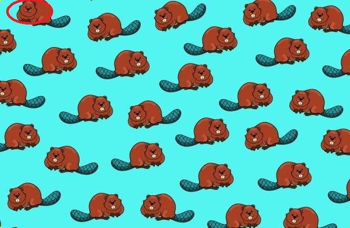 Optical Illusion Challenge: You have sharp eyes if you can spot a ...