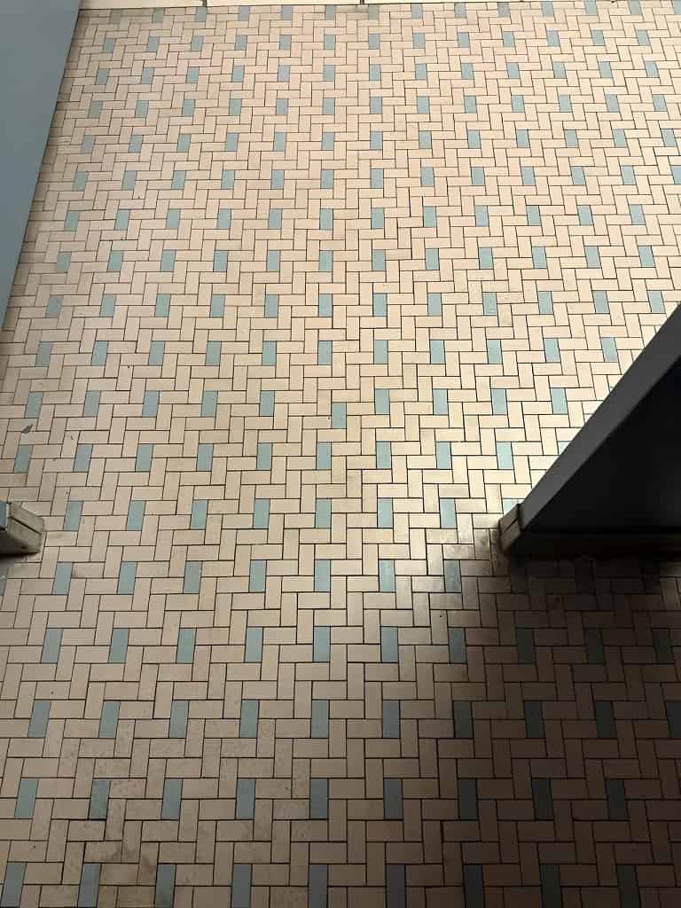 Optical Illusion Challenge: You have the sharpest eyes if you can spot ...