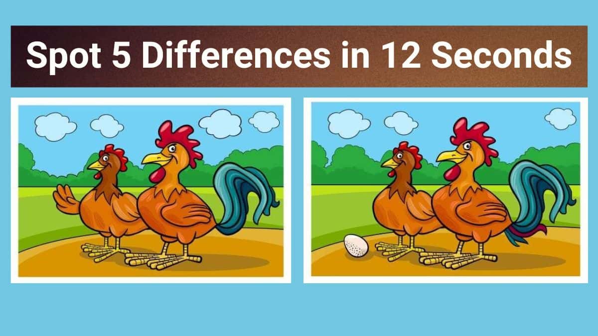 Spot The Difference