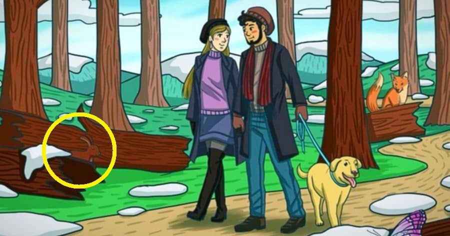 Seek and Find Puzzle: Only the sharpest individuals can spot a rabbit ...