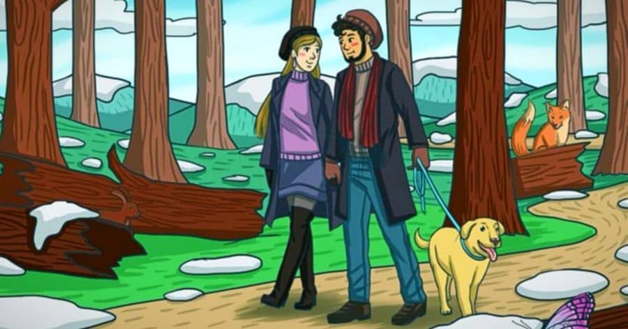 Seek and Find Puzzle: Only the sharpest individuals can spot a rabbit ...