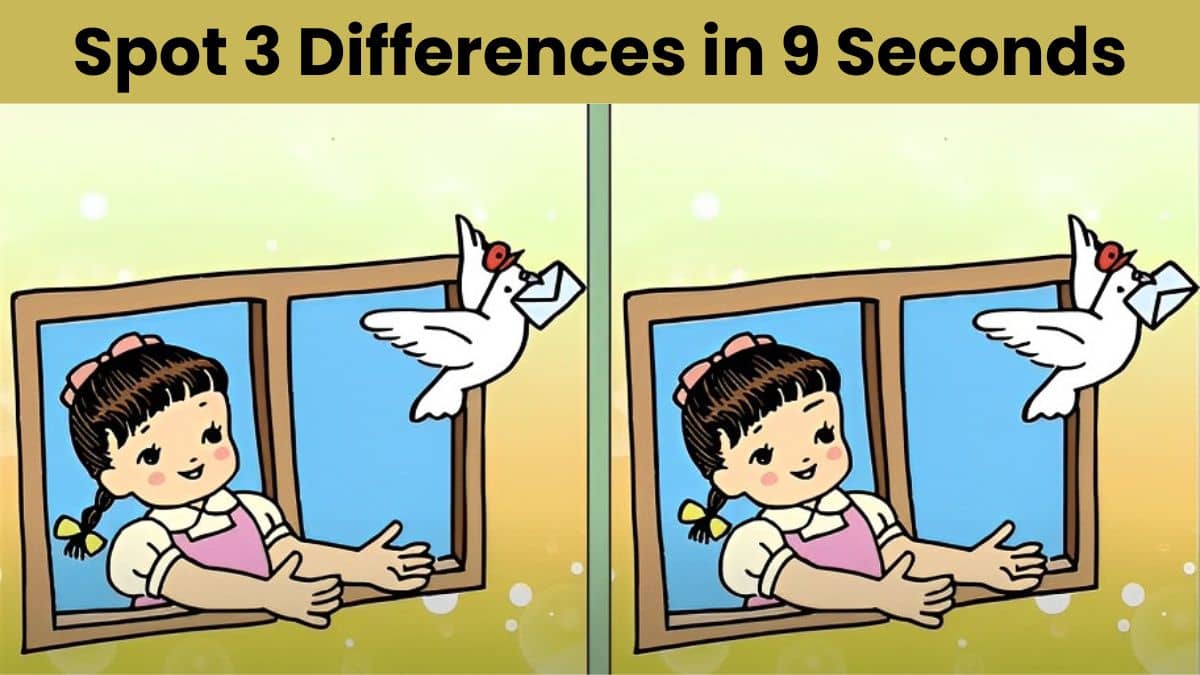 Spot The Difference Can You Spot 3 Differences In 9 Seconds 