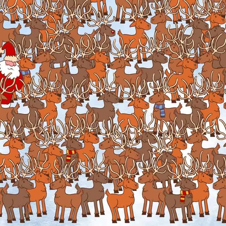 Optical Illusion Challenge: Can you find a bear among the deer in 6 ...