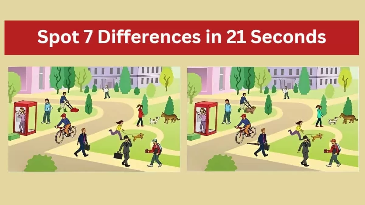 Spot The Difference Can You Spot 7 Differences Within 21 Seconds