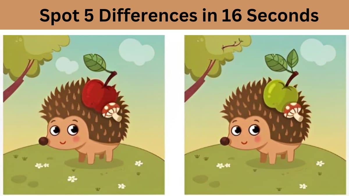 Easy Spot The Difference