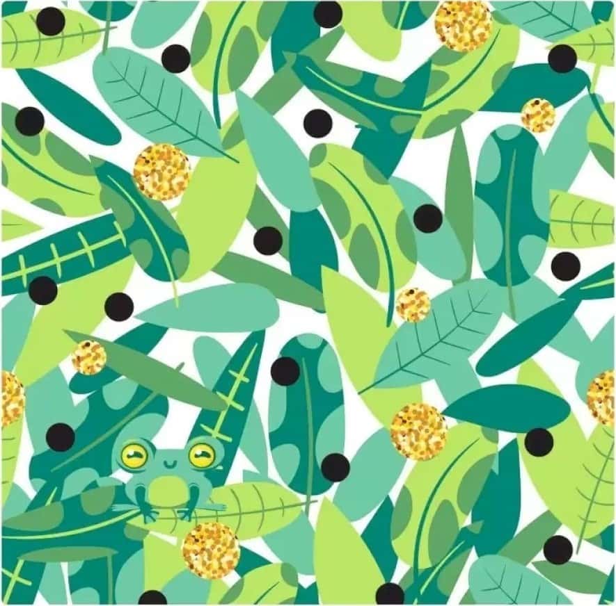 Seek and Find: Can you find a frog in the leaves within 3 seconds?