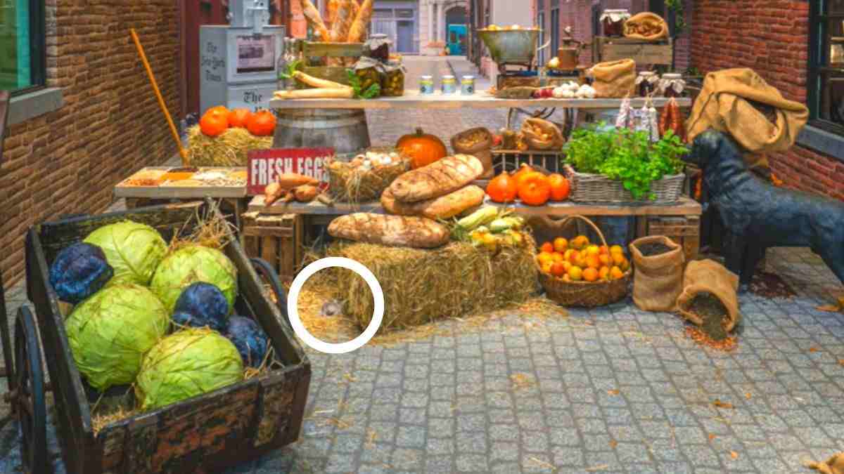 Optical Illusion: The rat is creating a mess! Can you find the hidden ...