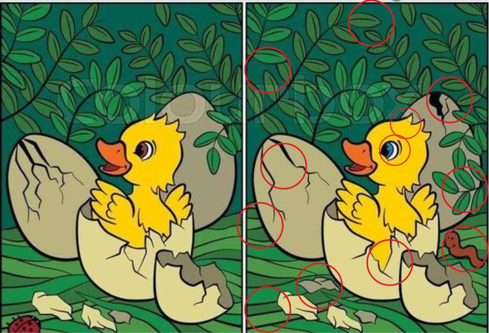 You have the greatest pair of eyes if you can spot 12 differences in ...