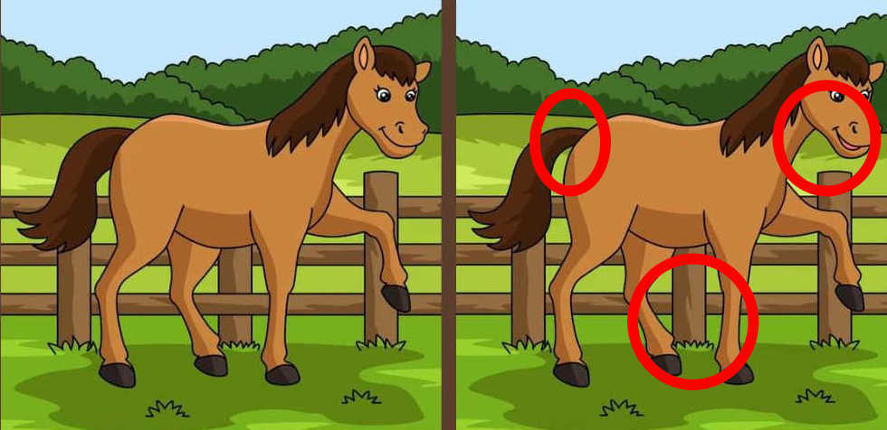 Spot 3 differences between the two horse pictures in 10 seconds