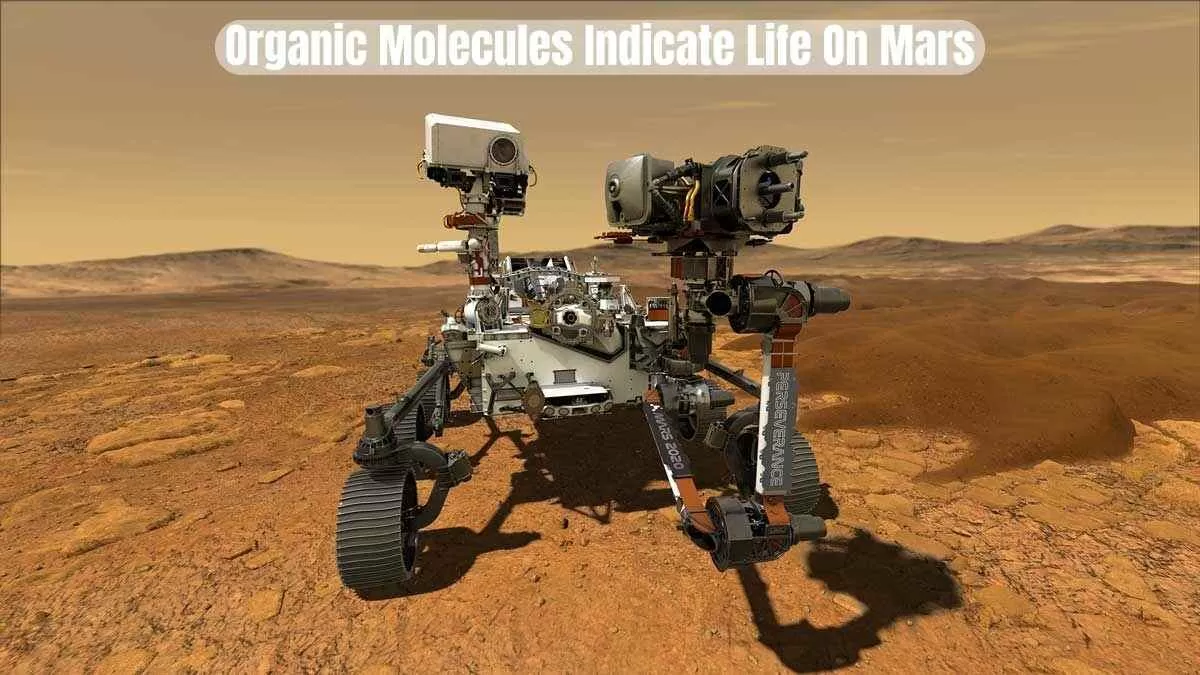 NASA's Perseverance Rover Identifies Organic Molecules In Rocks ...