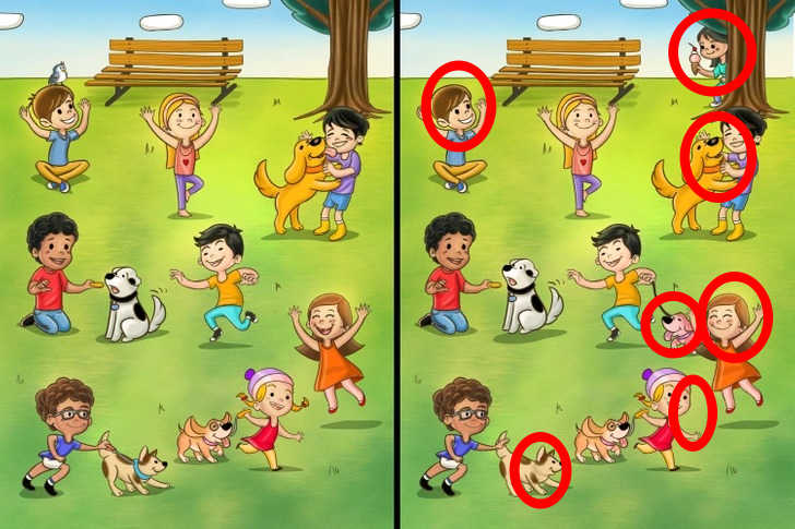 Test the Sharpness of Your Eyes by Spotting 7 Differences in 15 Seconds!
