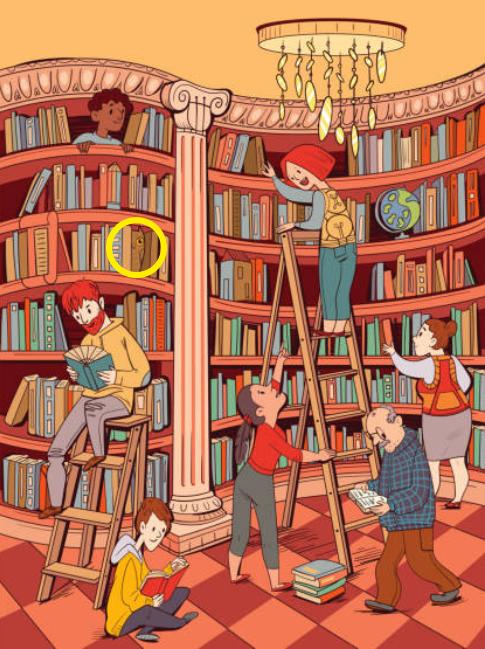 Challenge your visual skills by finding the owl in the library within 5 ...