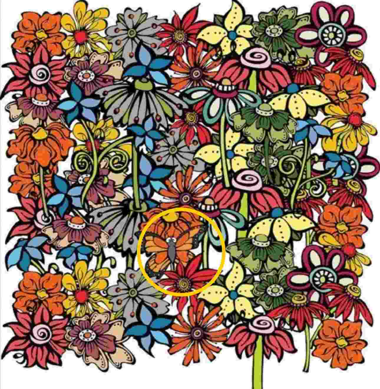 Spot the Butterfly in 11 Seconds: A Challenge for the Sharp-Eyed