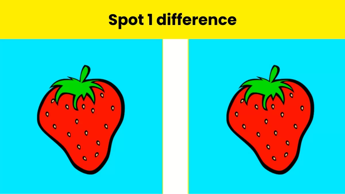 You have the sharpest eyes on earth if you can spot 1 difference ... You have the sharpest eyes on earth if you can spot 1 difference ...