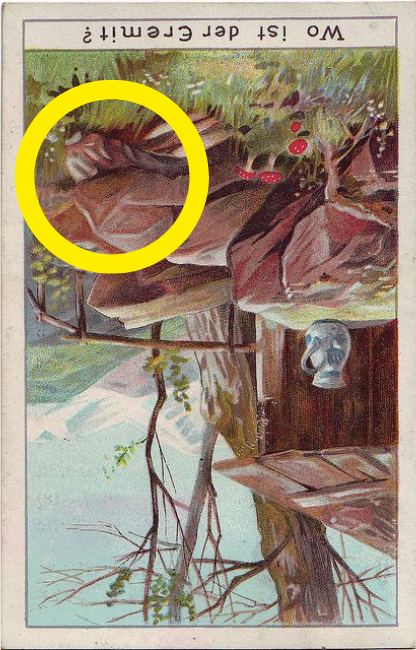 You have unrivaled observation skills if you can spot the hermit on the ...