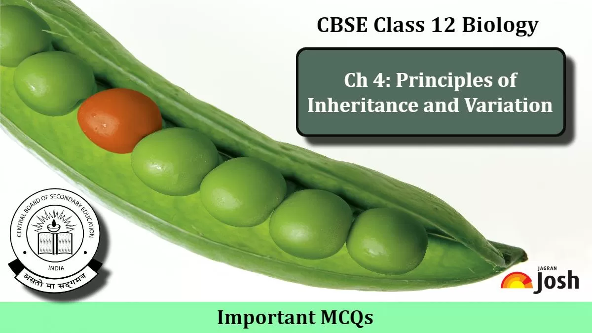 MCQs for CBSE Class 12 Biology Principles of Inheritance and Variations ... MCQs for CBSE Class 12 Biology Principles of Inheritance and Variations ...