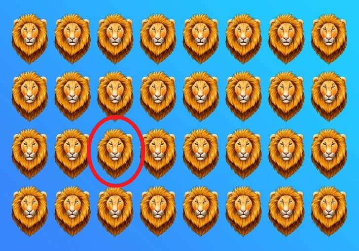 Test your brain power by finding the odd lion in 7 seconds!