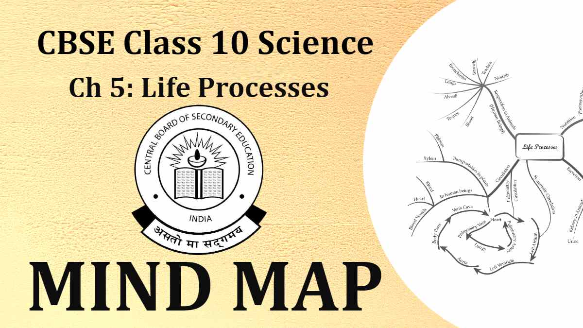 Ncea Level 1 Sciencelife Processes Wikibooks Open Ncea Level 1 Sciencelife Processes Wikibooks Open