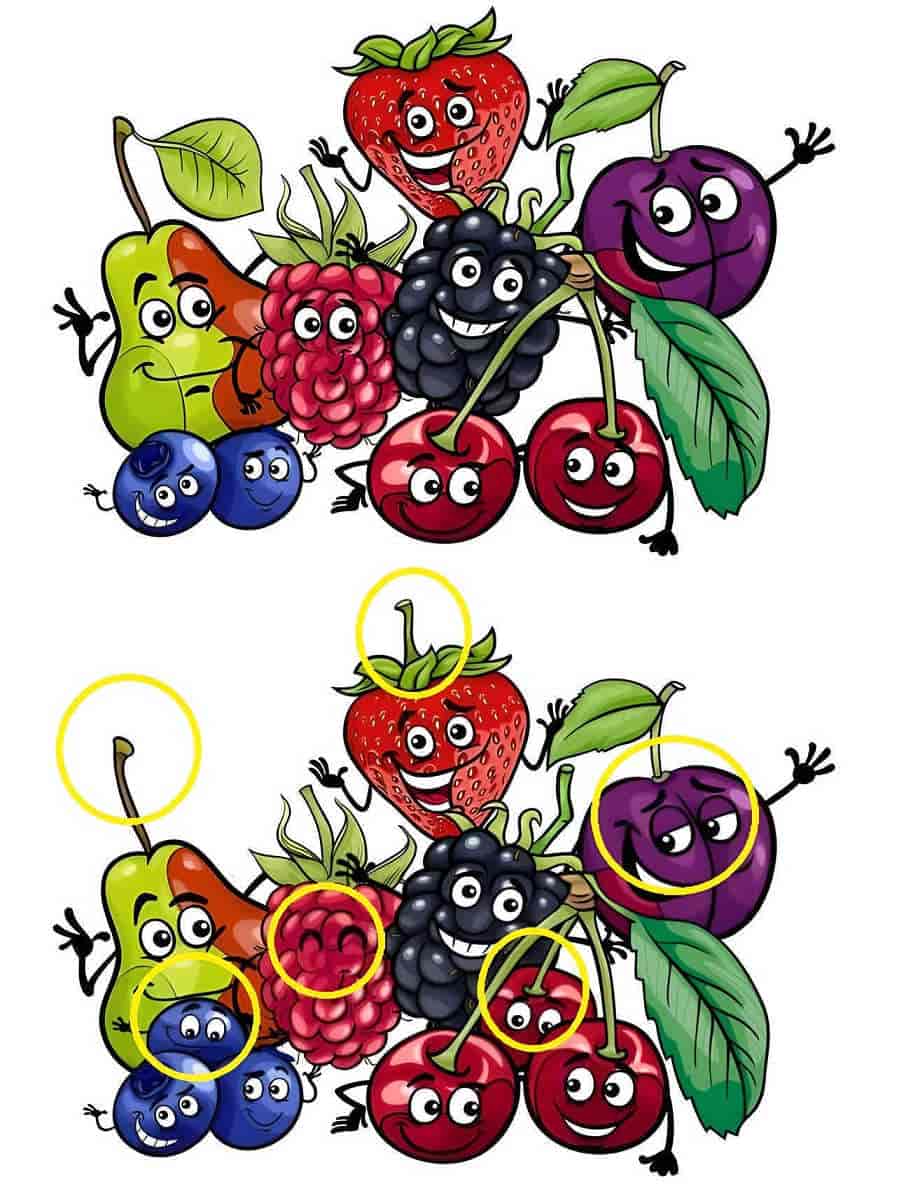 Spot the Difference: Are you able to spot 6 differences between fruits ...