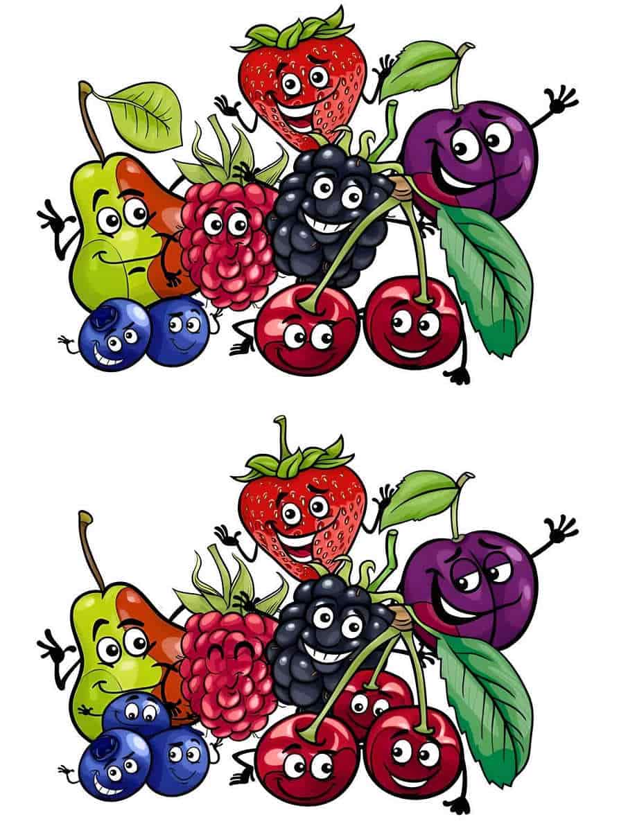 Spot the Difference: Are you able to spot 6 differences between fruits ...