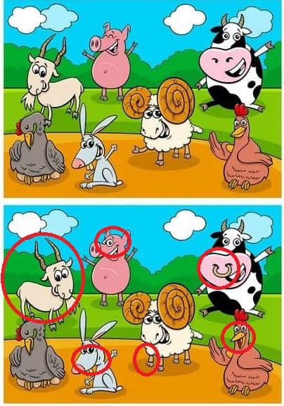 Spot The Difference: Can you spot 6 differences between the two ...