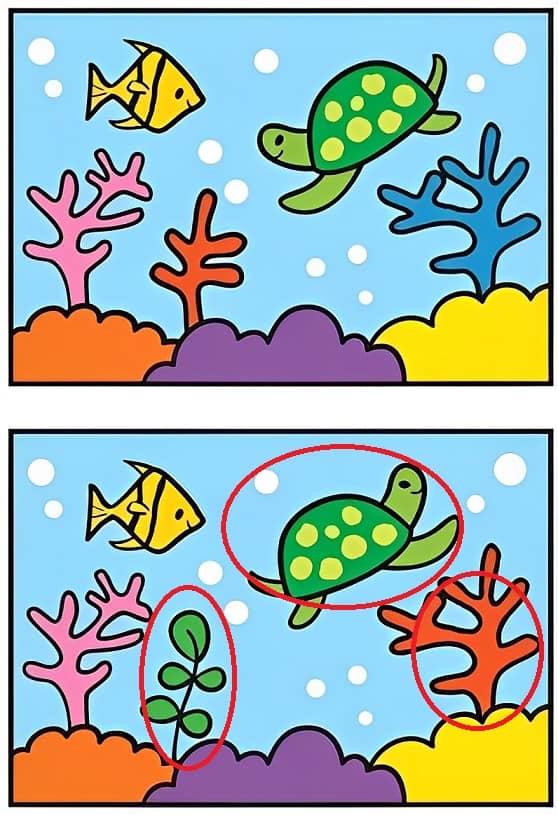 Spot the Difference: Can you spot 3 differences between the two ...