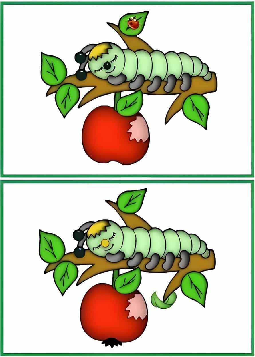 Spot the Difference: Can you spot 4 differences between the two ...