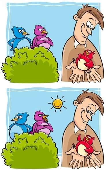 Spot The Difference: Only the most attentive eyes can spot 5 ...